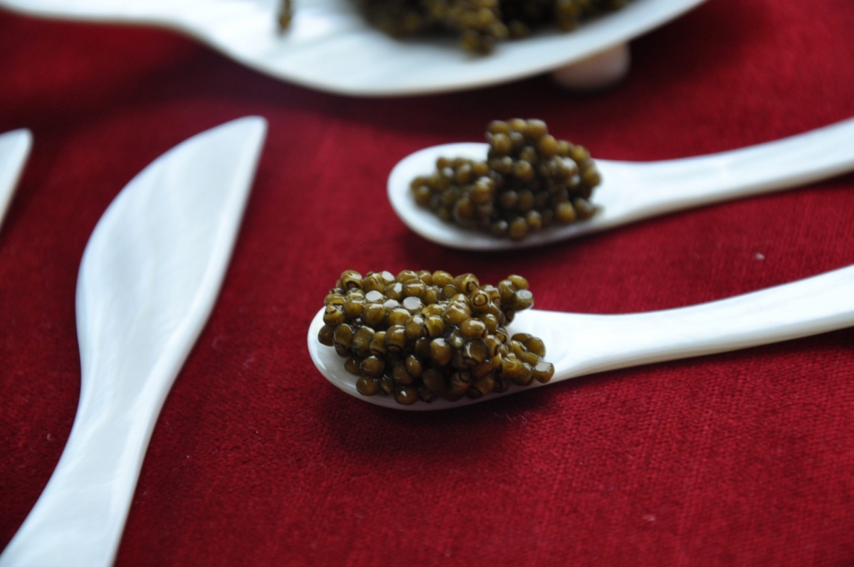 Mother of Pearl Caviar Spoon - Imperial Caviar